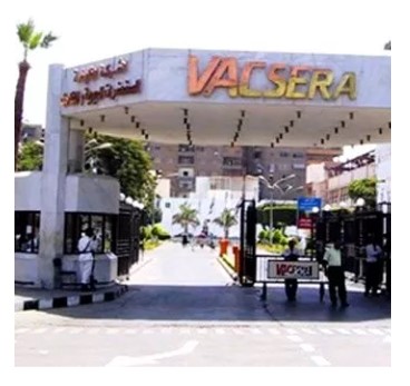 Home [www.eglightcorp.com]