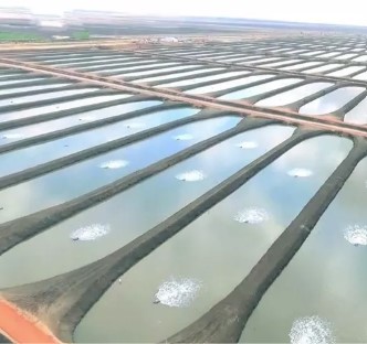 Home [www.eglightcorp.com]